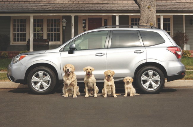 WATCH: Adorable dog ads by Subaru will make you go 'awww' | Autodeal