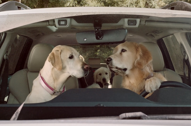 WATCH: Subaru lets the dogs out again in its latest ad series | Autodeal