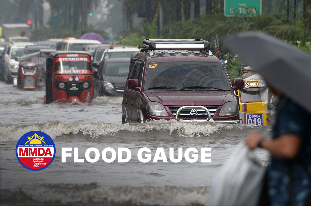 Can your car handle this flood? Check MMDA's flood gauge first | Autodeal